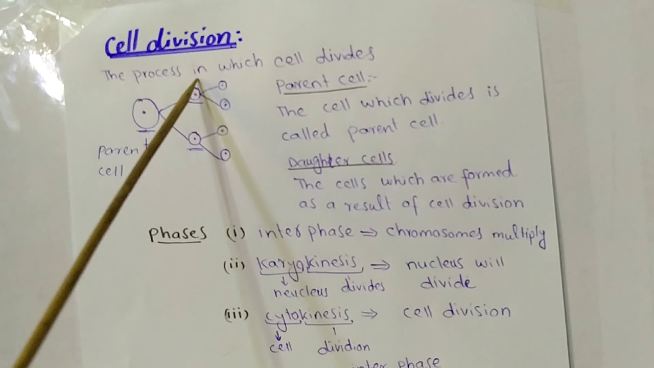 Class 8 Science Topic: Cell Division or Mitosis. Allied School - YouTube