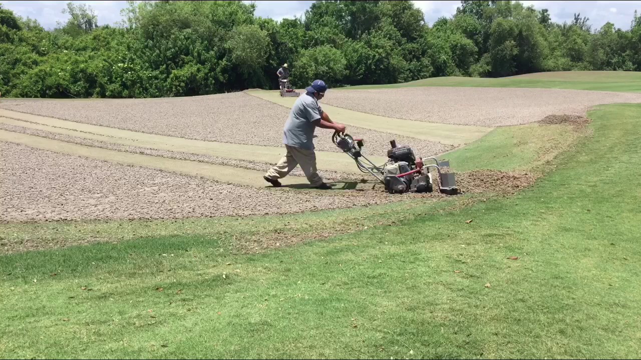 Aerification Process - YouTube