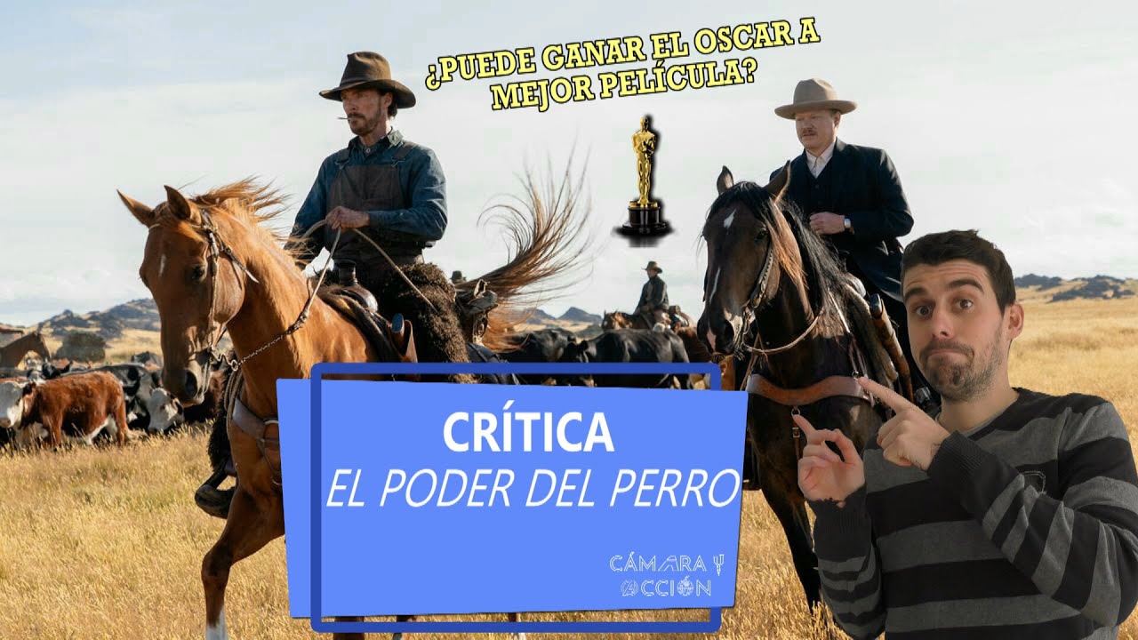 Crítica/Review 🎞️EL PODER DEL PERRO (The Power of the Dog)🎞️ sin ...