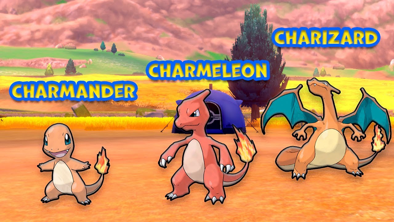 CHARMANDER, CHARMELEON, CHARIZARD. POKEMON CAMP - YouTube