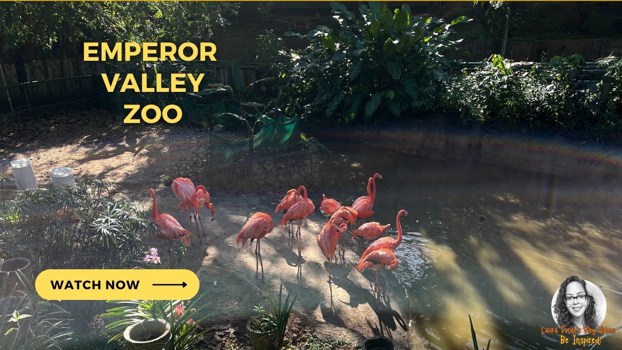 Visit To The Emperor Valley Zoo Trinidad 2022 - YouTube