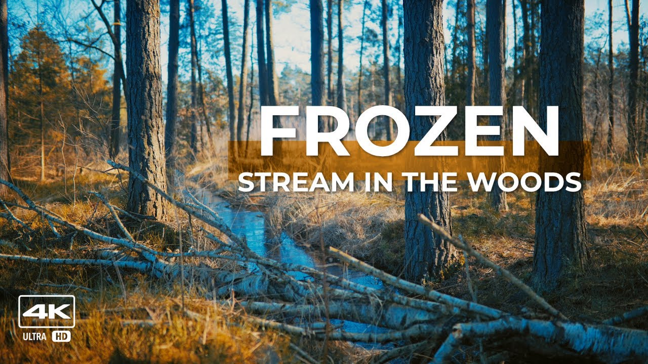 4K video and natural ambient sounds - Frozen stream in the woods - YouTube