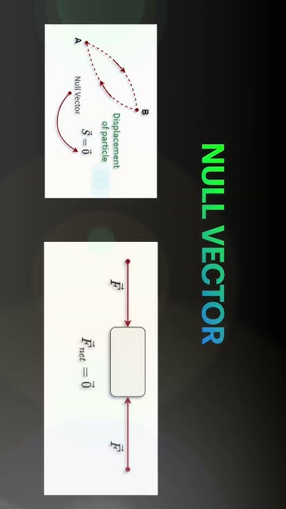 #vector #vectors #null #null-vector#zerovector - YouTube