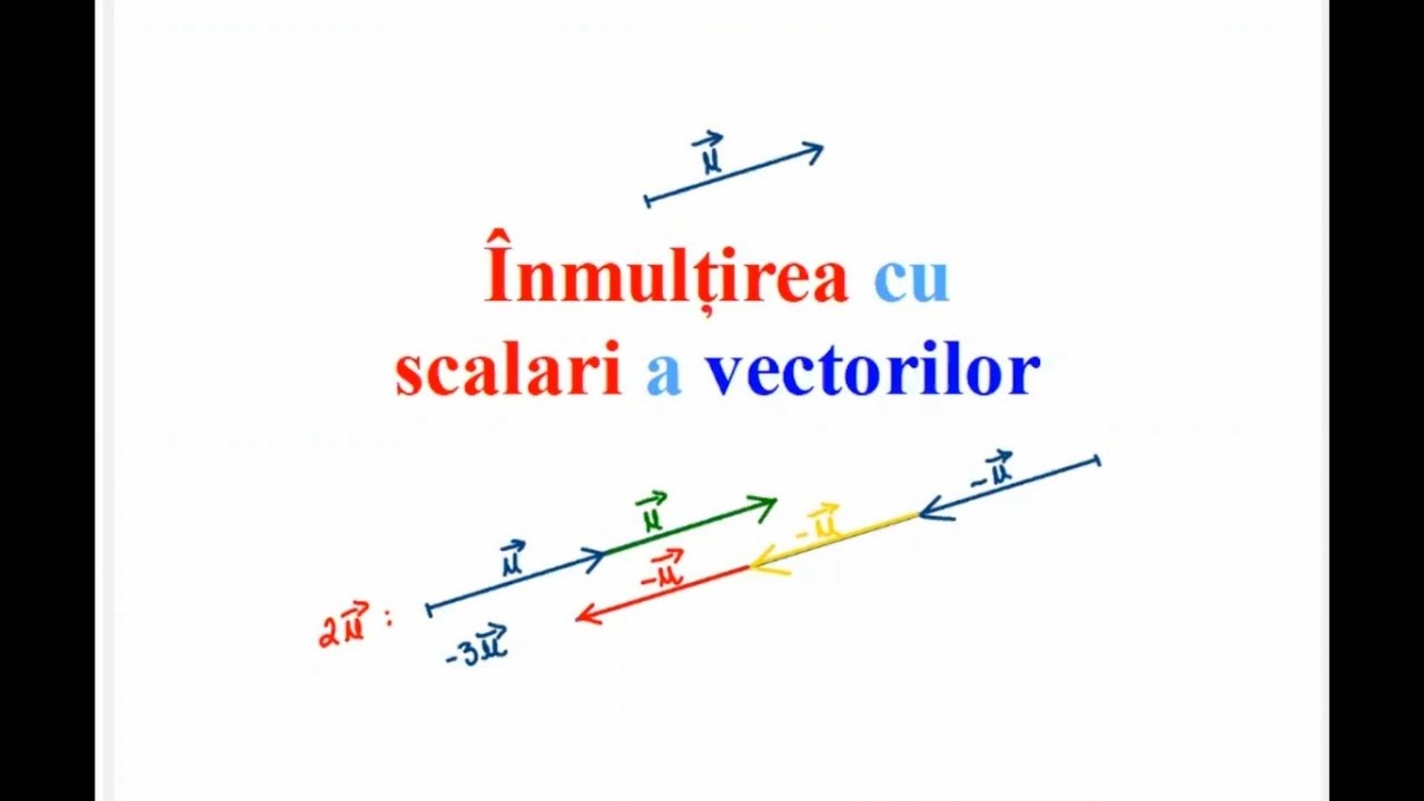Cap.28.4 - clasa a IX-a - Înmulțirea cu scalari a vectorilor ...
