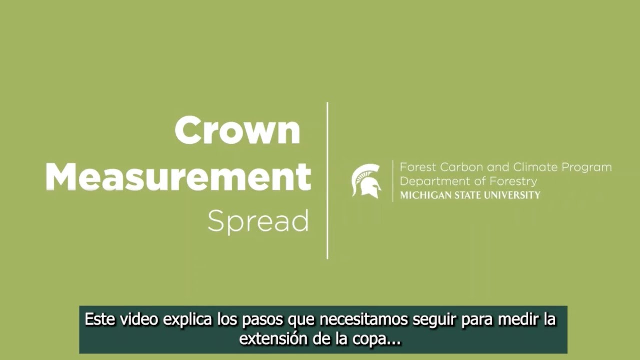 Medidas de la Copa Extensión - YouTube