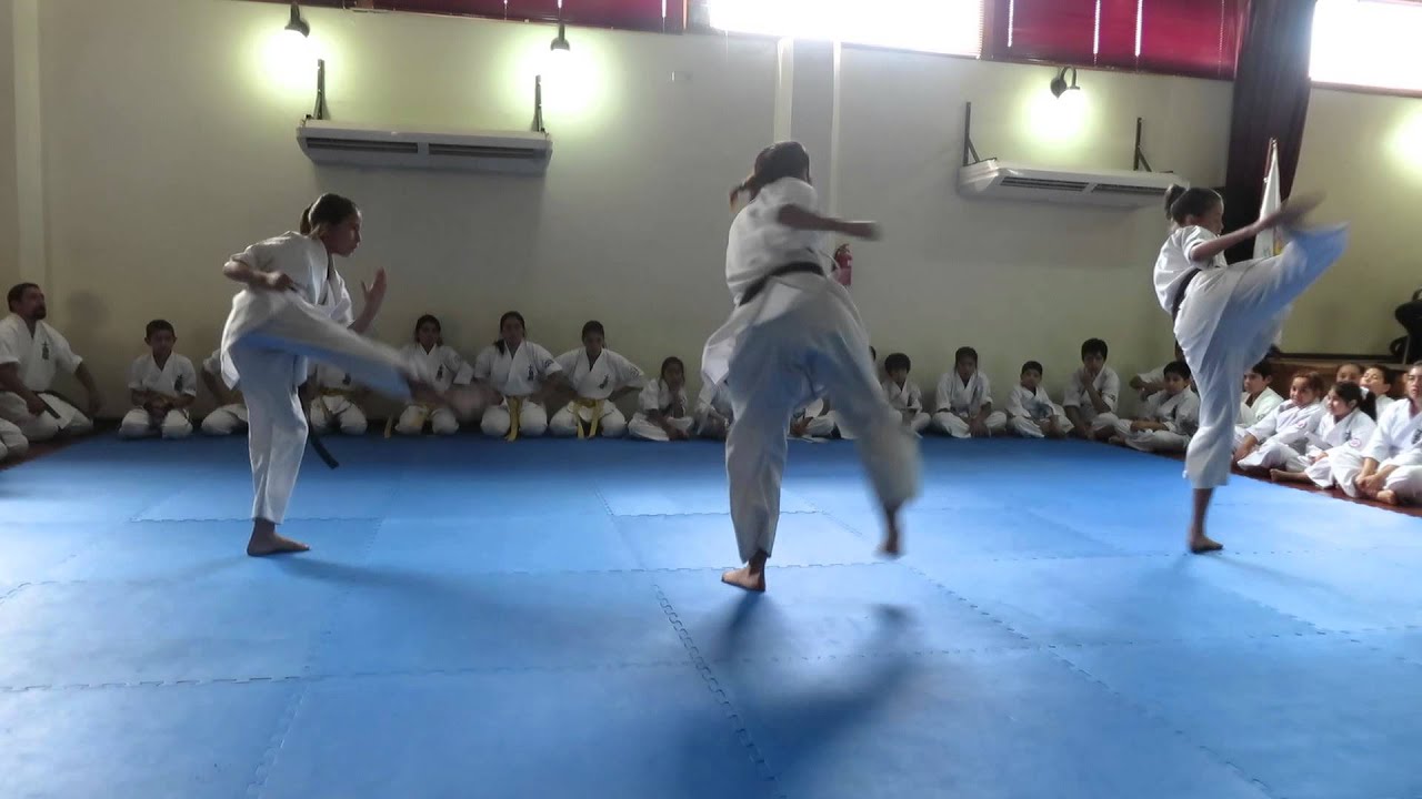 Ido Geiko mujeres avanzado SHIDOKAN SOENO KARATE CHILE - YouTube
