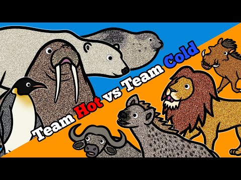Hot or Cold? | Learn About Wild Animals Living In Hot African Savanna and Cold Arctic & Antarctica