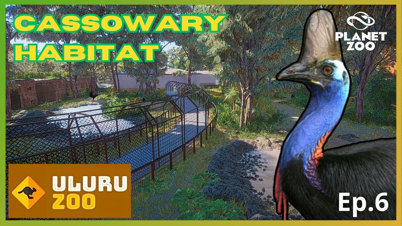 🦘ULURU ZOO: Cassowary Walkthrough - Realistic Habitat - Español🦘|Ep.6 ...
