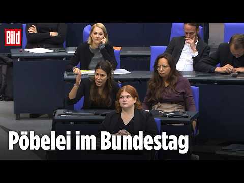 Ordnungsrufe während AfD-Rede: Linken-Abgeordnete Köktürk verlässt den Saal