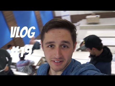 Octopus | VLOG #19