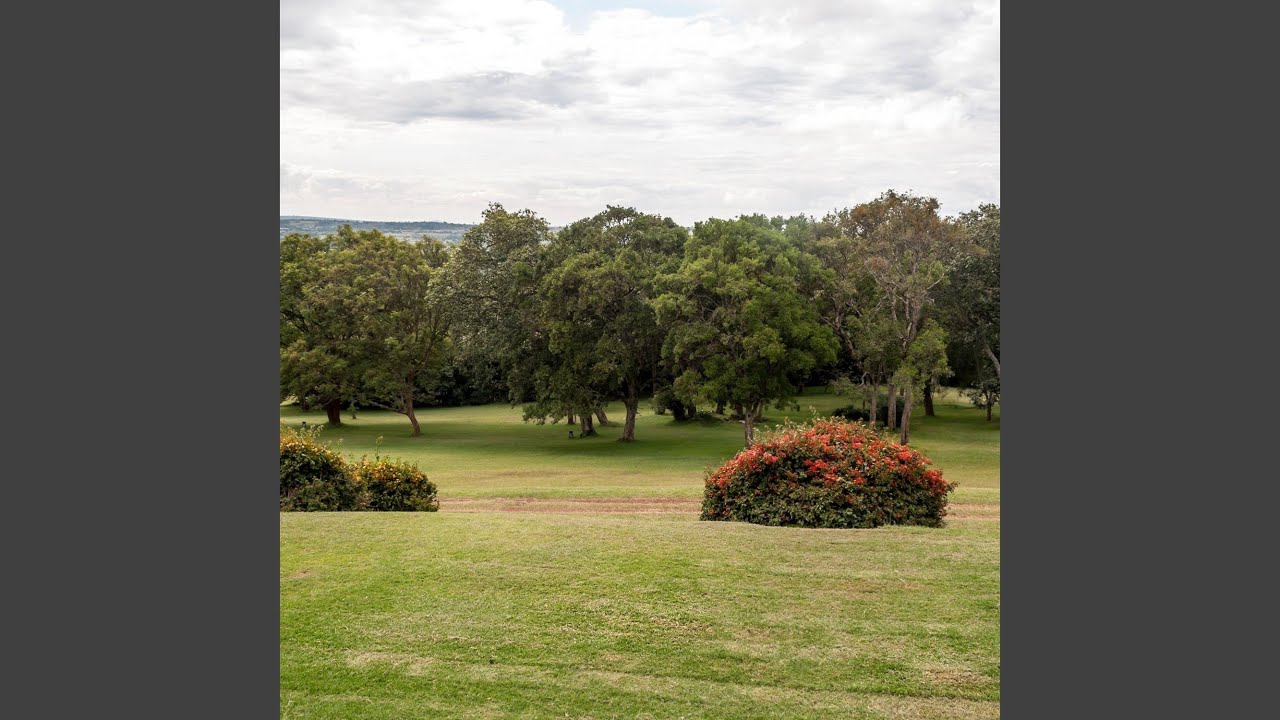 Withall Palace - YouTube