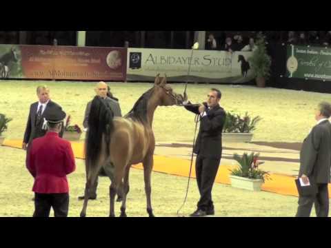 darrell.raymond-02.m4v - YouTube