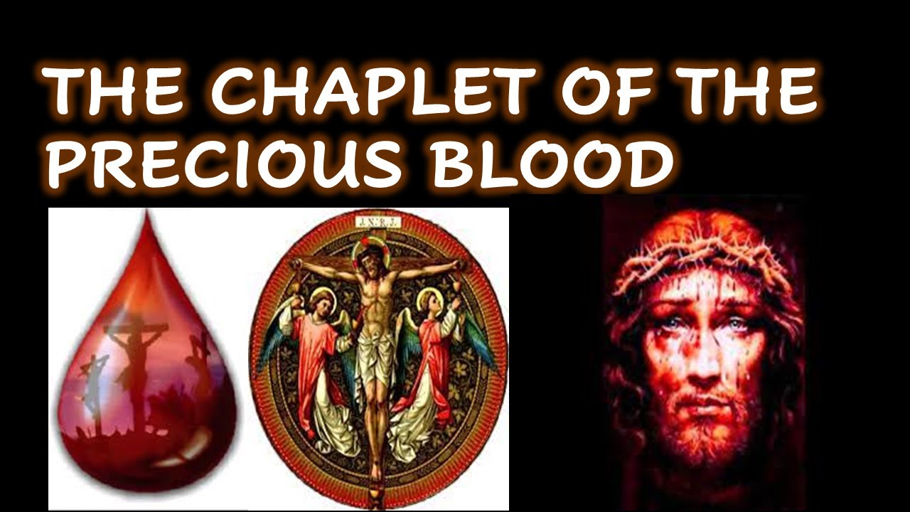 THE CHAPLET OF THE PRECIOUS BLOOD/daily devotion 2 the most precious ...