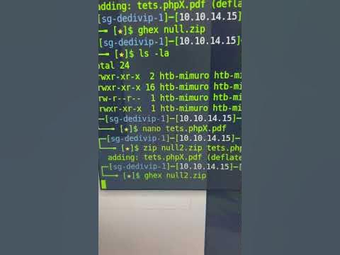 Null Byte Injection | Hackthebox | Zipping - YouTube