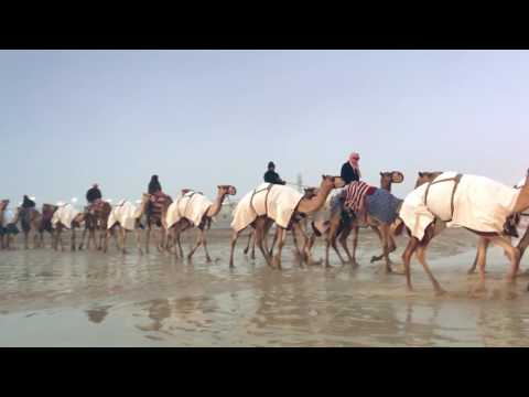 Dari Qatar: Uniquely Qatar. Let's Make a Film Together