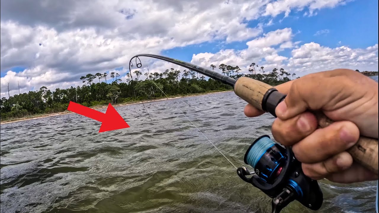 Springtime Wade Fishing Florida Grass Flats for Aggressive Fish - YouTube