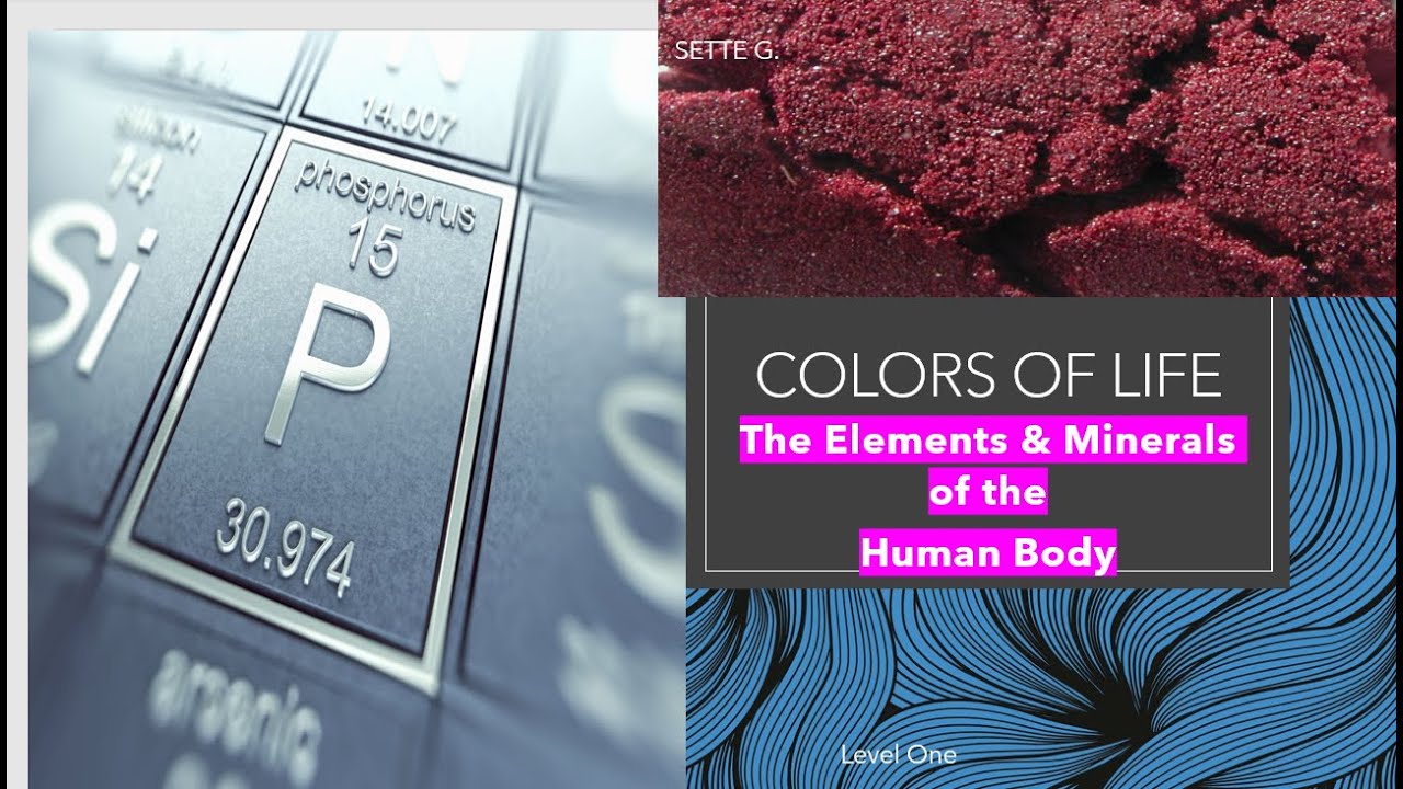 Colors of ELEMENTS,The : SECRETS of Elements & Minerals in the Human ...