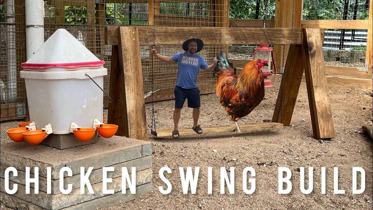 D.I.Y Super Easy Chicken Swing Build.. For All Chicken Owners! - YouTube