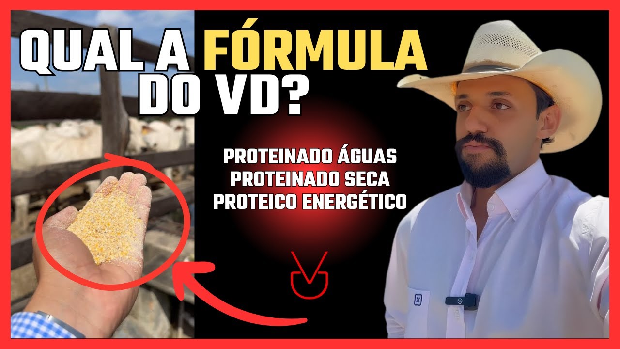 QUAL A FÓRMULA DO VD DE PROTEINADO E PROTEICO ENERGÉTICO? VICTOR DARIDO ...