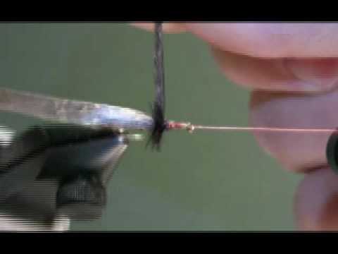 PMD Nymph Basic - YouTube