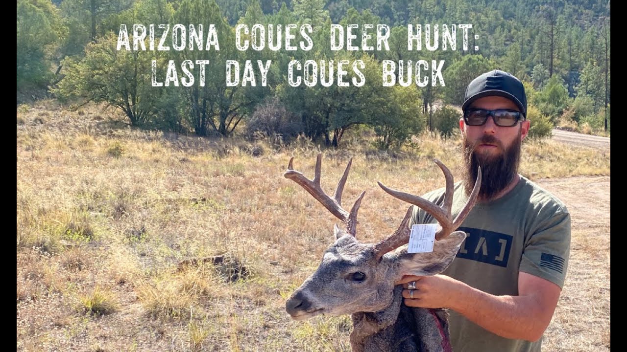 Arizona Coues Deer Hunt 2020: Last Day AZ Coues Buck - YouTube