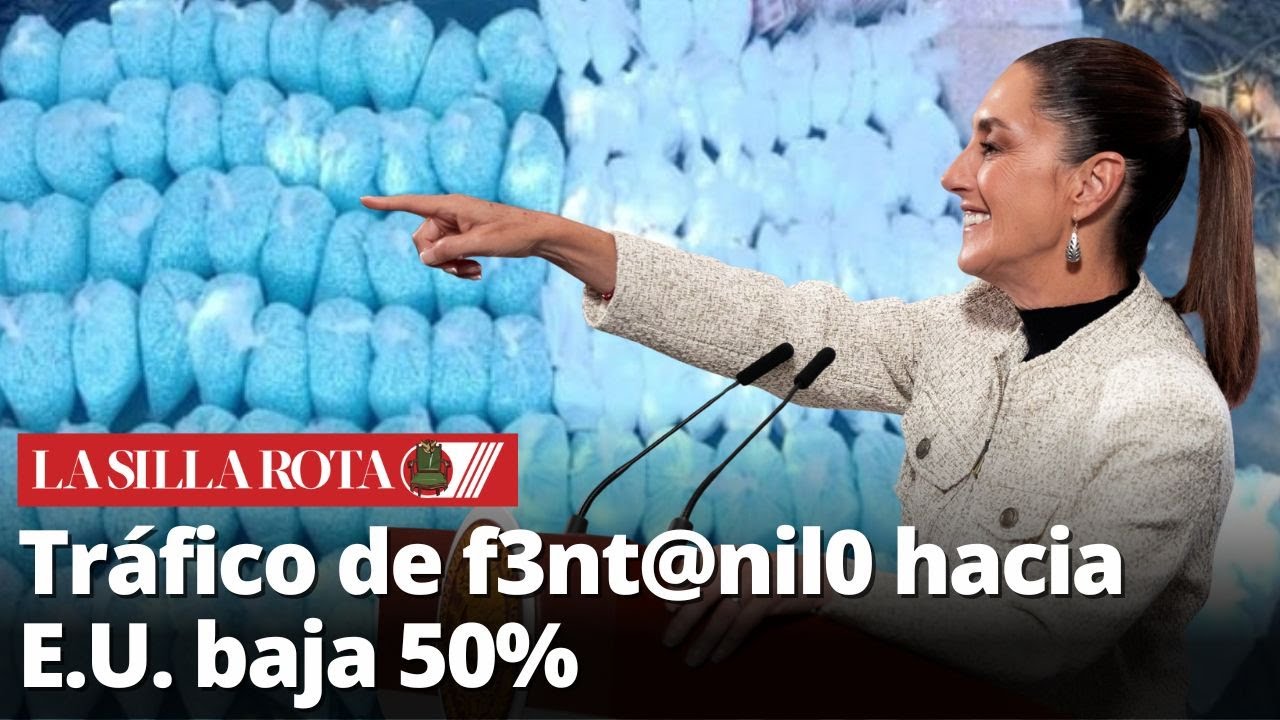 México reduce a la mitad el tráfico de f3nt@nil0, afirma Sheinbaum ...