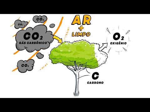 Semana do Meio Ambiente