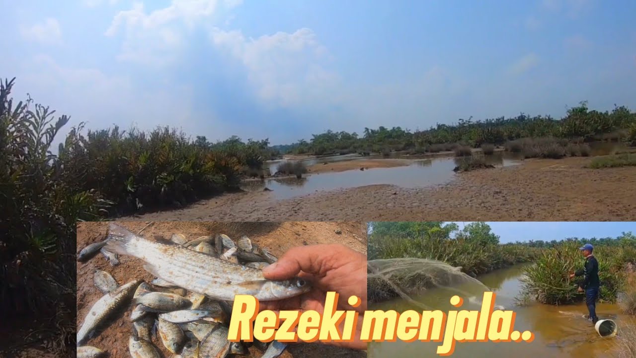MENJALA IKAN BELANAK BERSAMA SAHABAT.. - YouTube