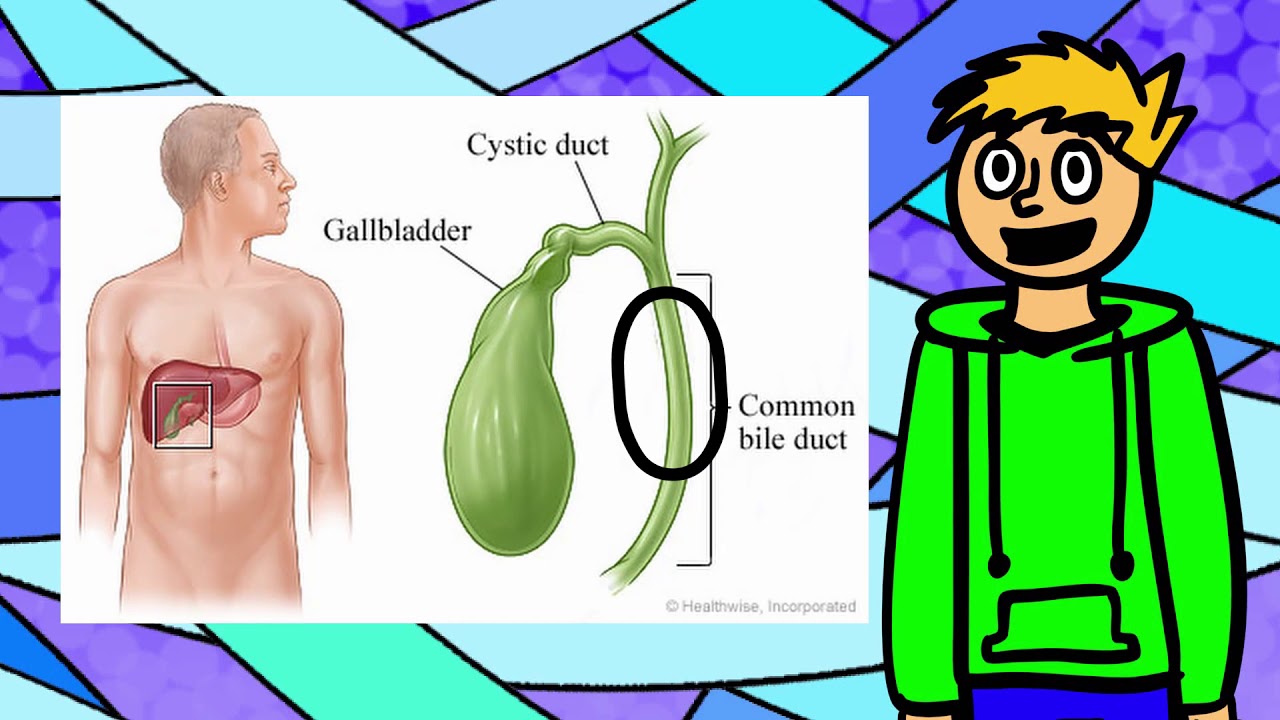 Science Cancer Project - YouTube