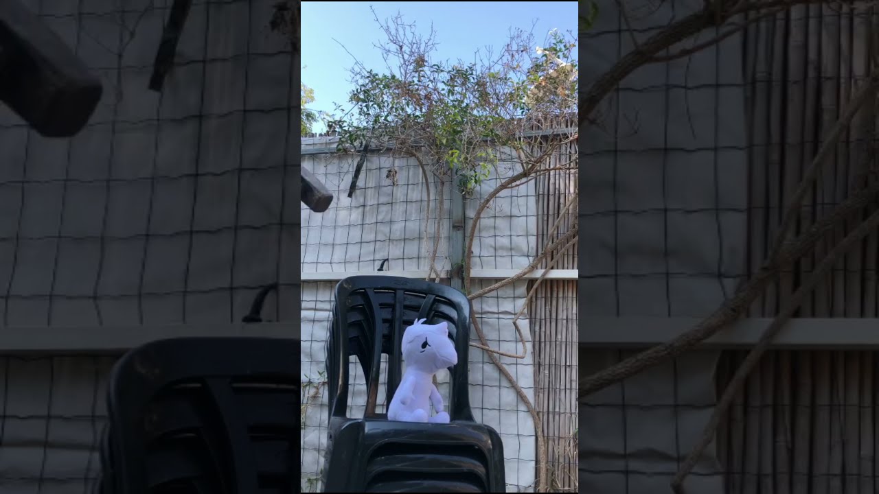 oneyplays zach plush execution video #shorts - YouTube