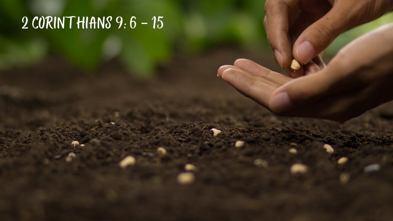 Sunday 1st October New Testament Reading - YouTube