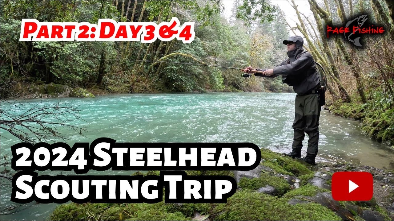 STEELHEAD SCOUTING TRIP PART 2 - DAYS 3 & 4 - 3 RIVERS IN 4 DAYS ...