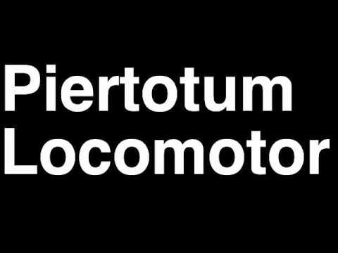 How to Pronounce Piertotum Locomotor Harry Potter Charm Curse Casting ...
