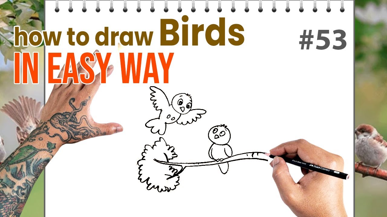 How to Draw Birds in "Easy Way". Drawing | Kids Drawing | Kids Learning ...