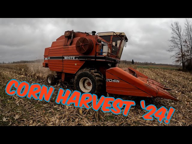 Corn An Domhain 2024 Greannmhar