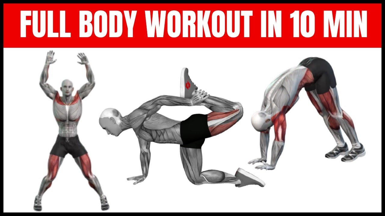 10 Minutes Full Body Effective Workout At Home | Crazy Fitness - YouTube