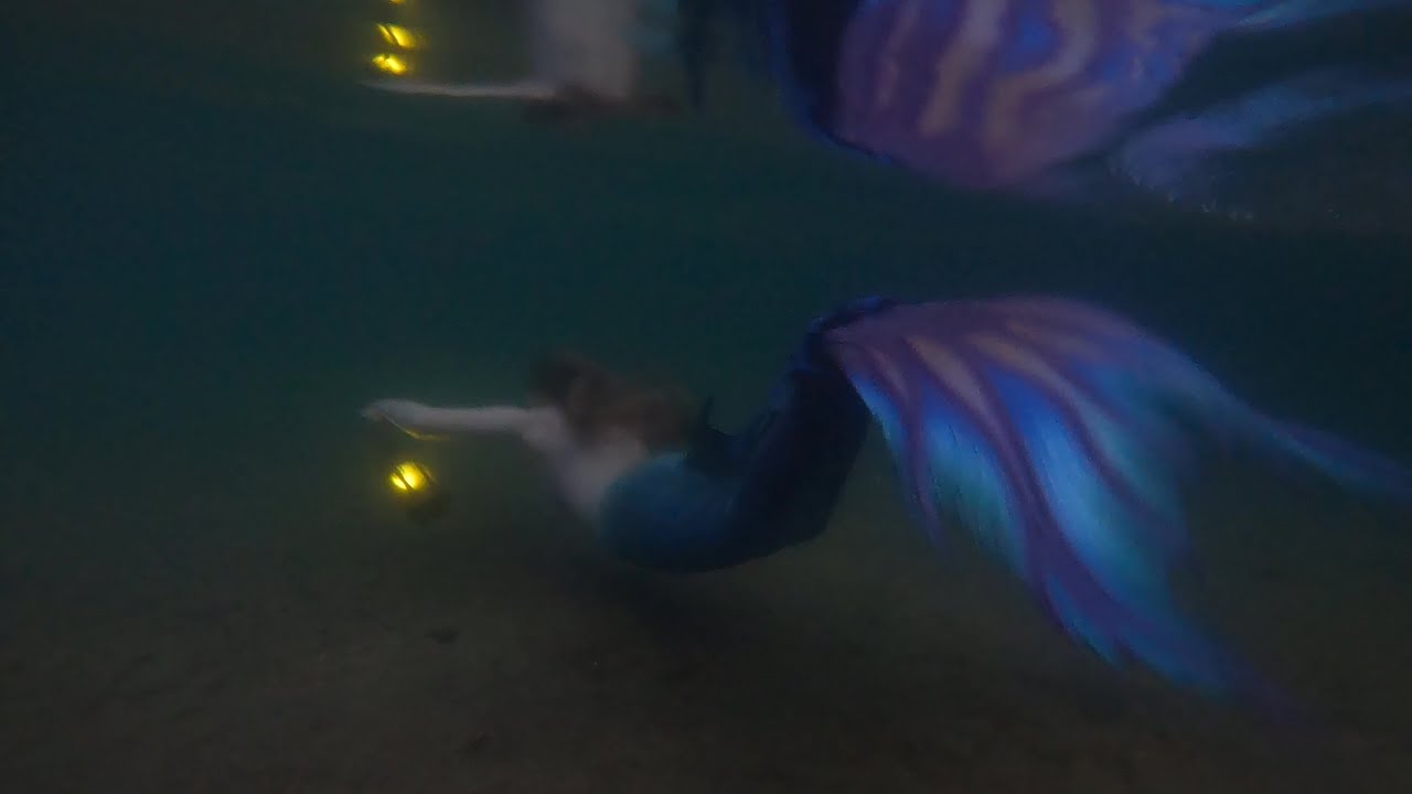 Mermaid Swims Both Night and Day, From Pool to the Wild | Mermaid Haley ...