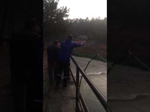 Dev yayın balığı avı