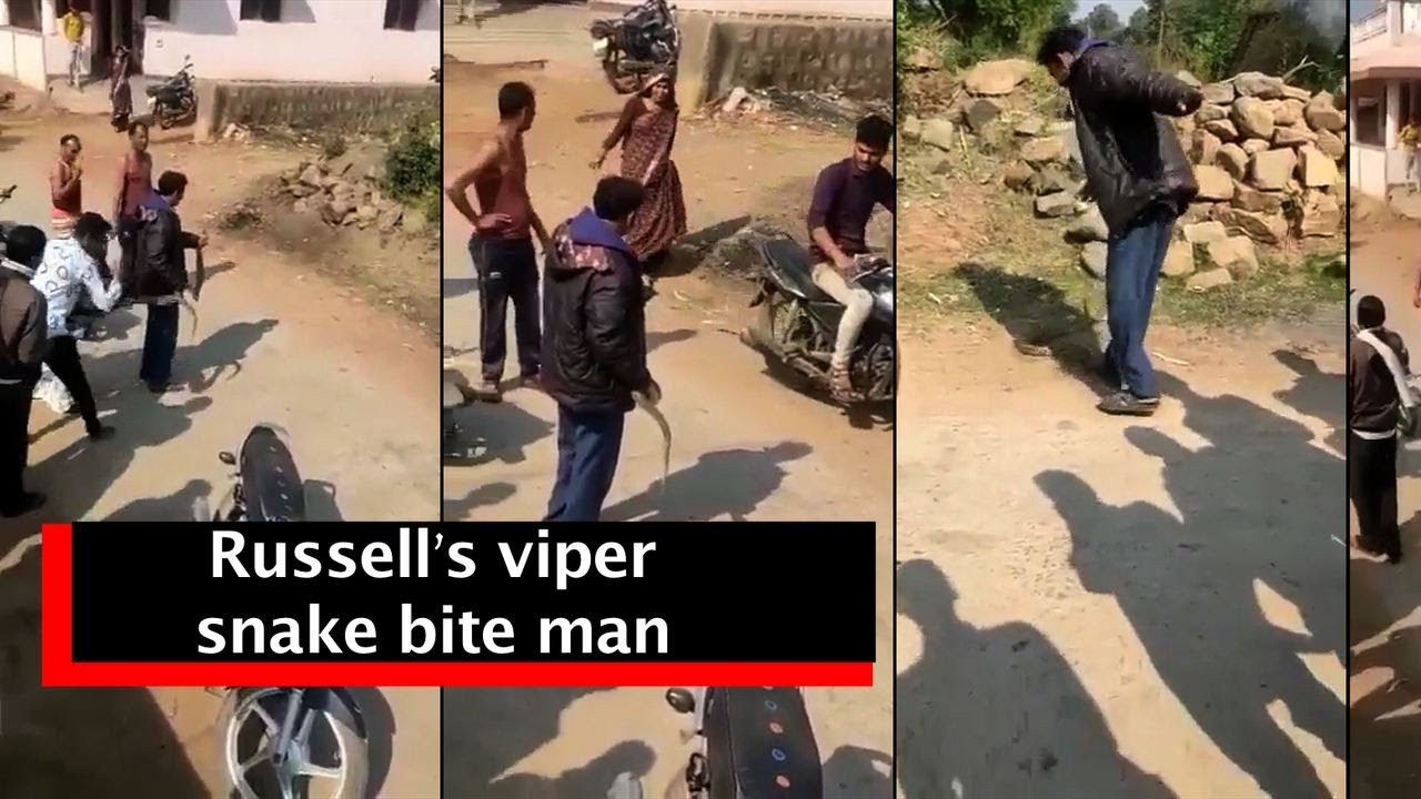 Snake bitten, Man died before treatment I Cobrapost - YouTube