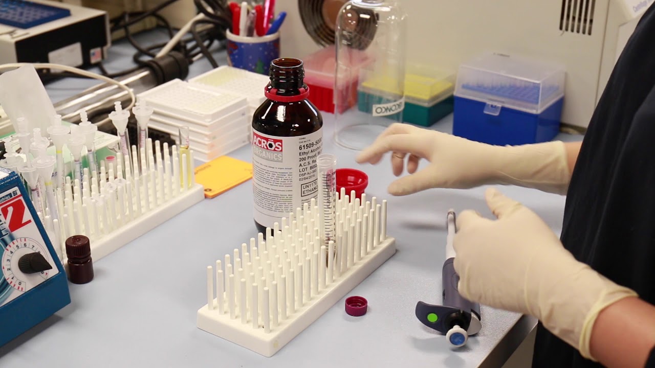 Fecal Extraction Demo - Arbor Assays - YouTube