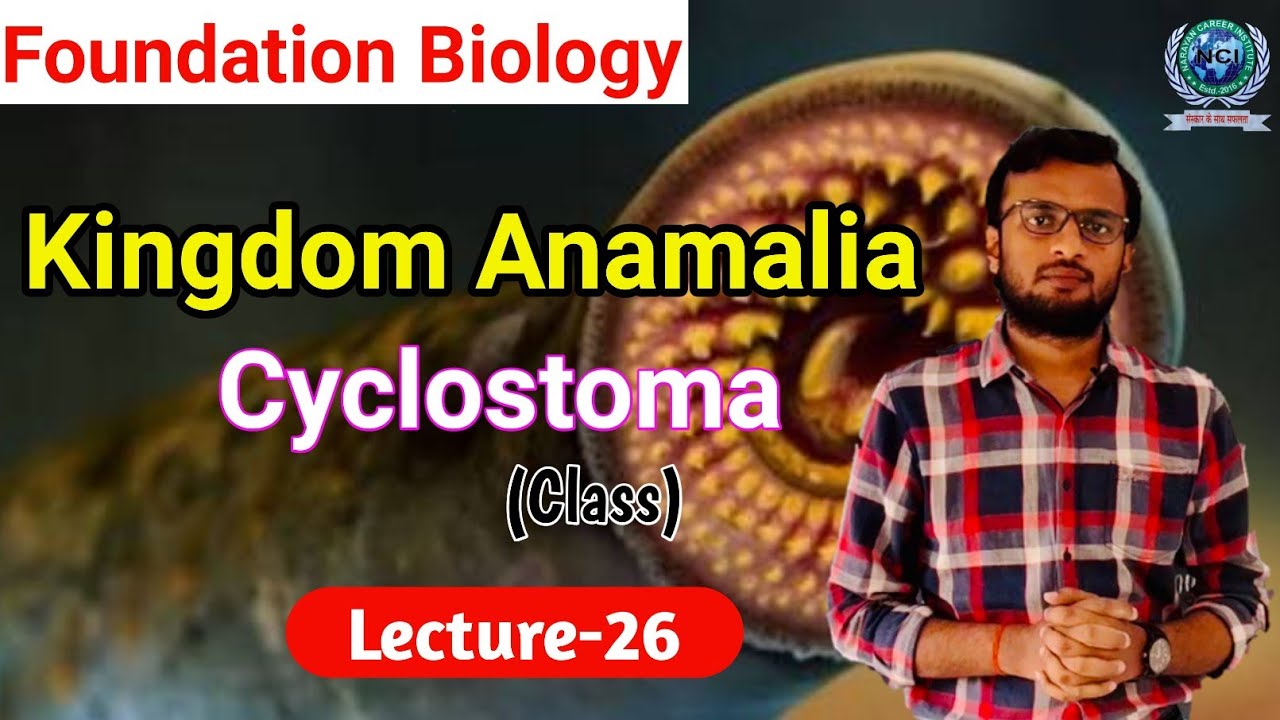 Lecture-26: Cyclostoma | Kingdom Animalia | Diversity In Living ...