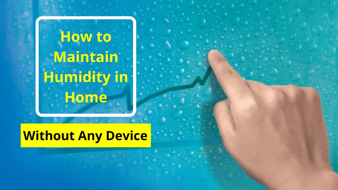 How to Maintain Humidity in Home Without Device | Ideal Humidity for ...