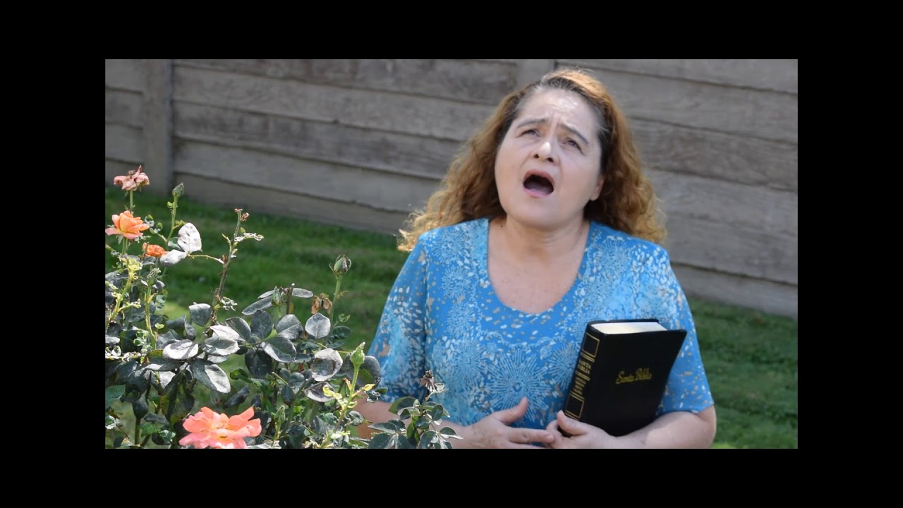 Paula Angel - Aqui Estamos - cover - YouTube