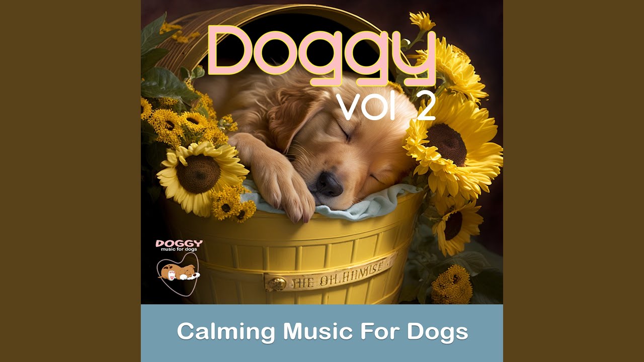 Begin Today - YouTube Music