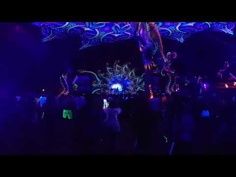 BOTFB & Ka-Sol - ZNA 2019