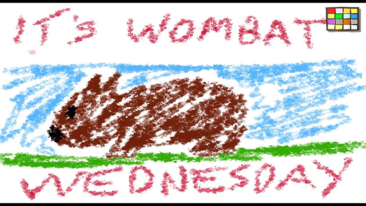 Let's Celebrate Wombat Wednesday: A Fun-filled Wombat Extravaganza ...