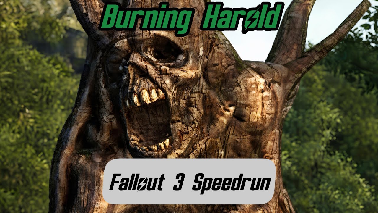 Burning Harold Speedrun! (Fallout 3) - YouTube