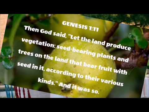 10 BIBLE VERSES FOR FARMERS Agriculture - YouTube