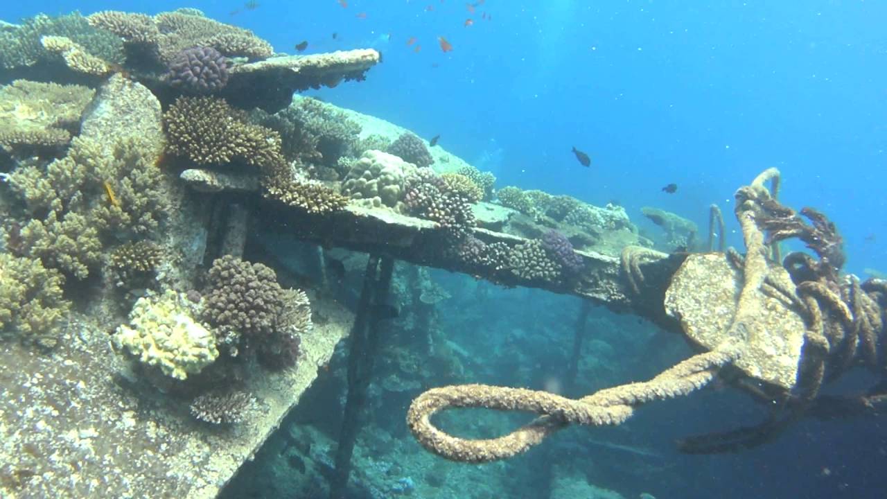 Dive 546 - Shag Rock And Kingston Wreck - YouTube