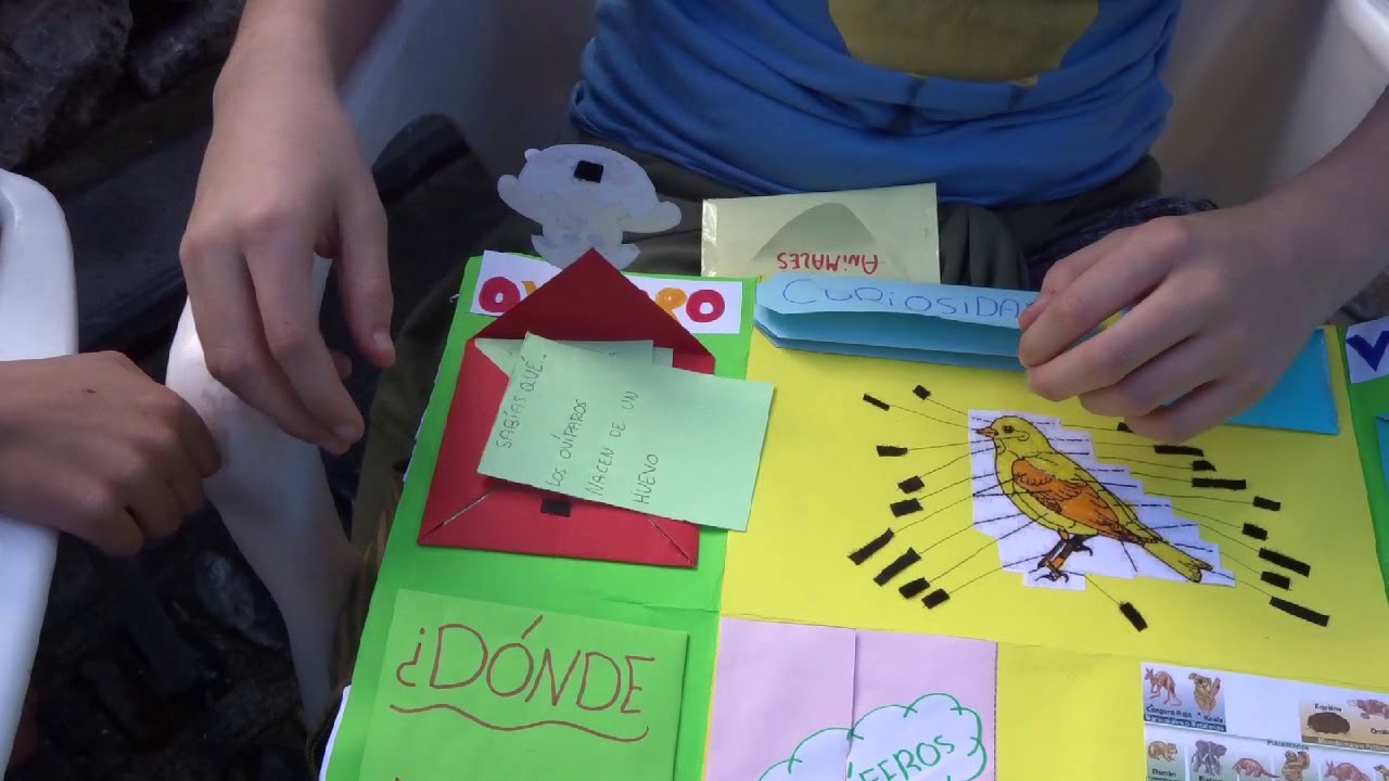 Lapbook: Los animales - YouTube